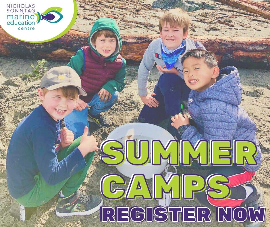 NSMEC Marine Science Summer Camps for Kids