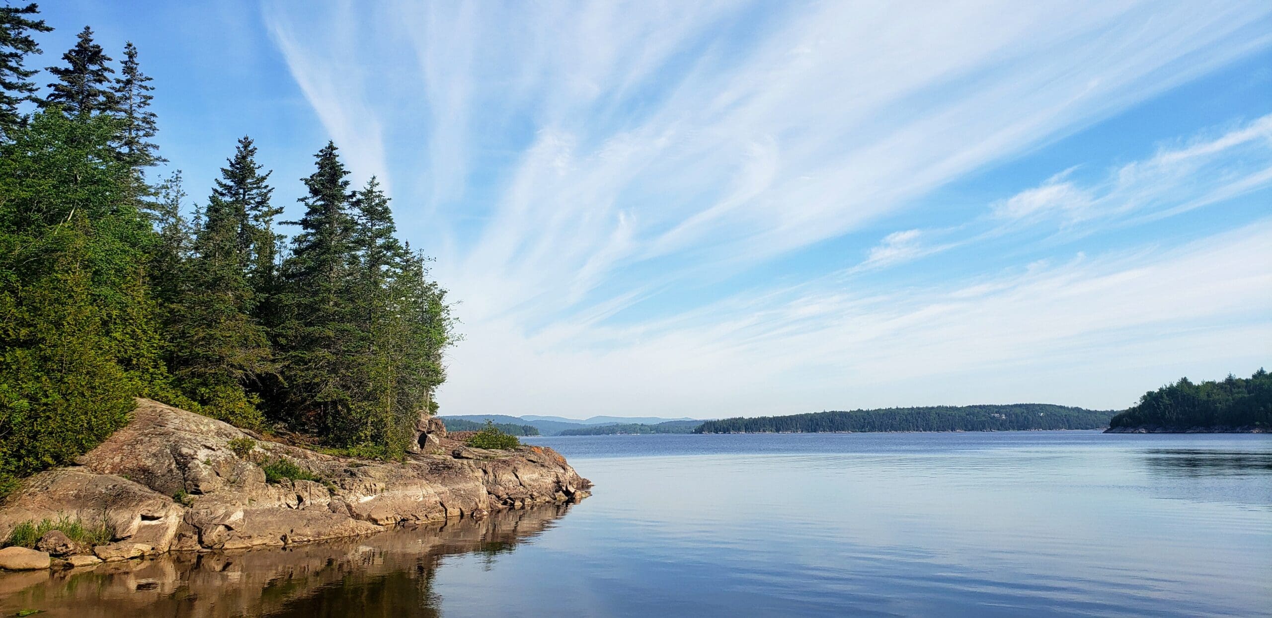 Tucker Park Ocean Week School Programs: In Search of Biodiversity