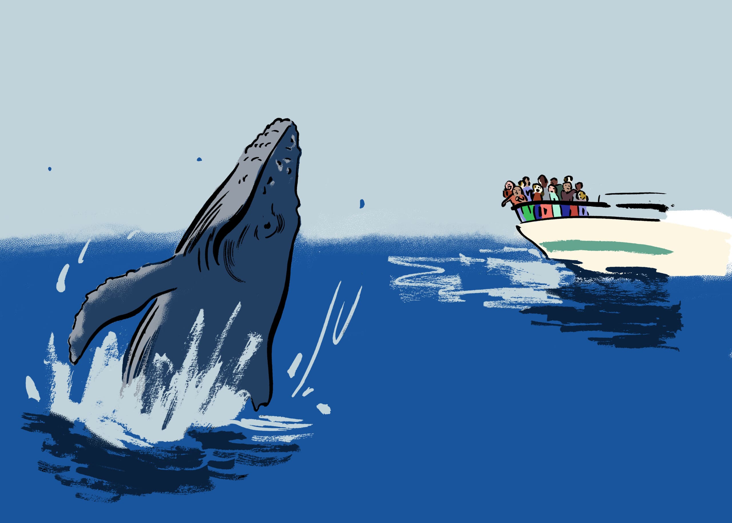 The Adventures of Kelp Creature: An Ocean Week Conversation with Alex ...