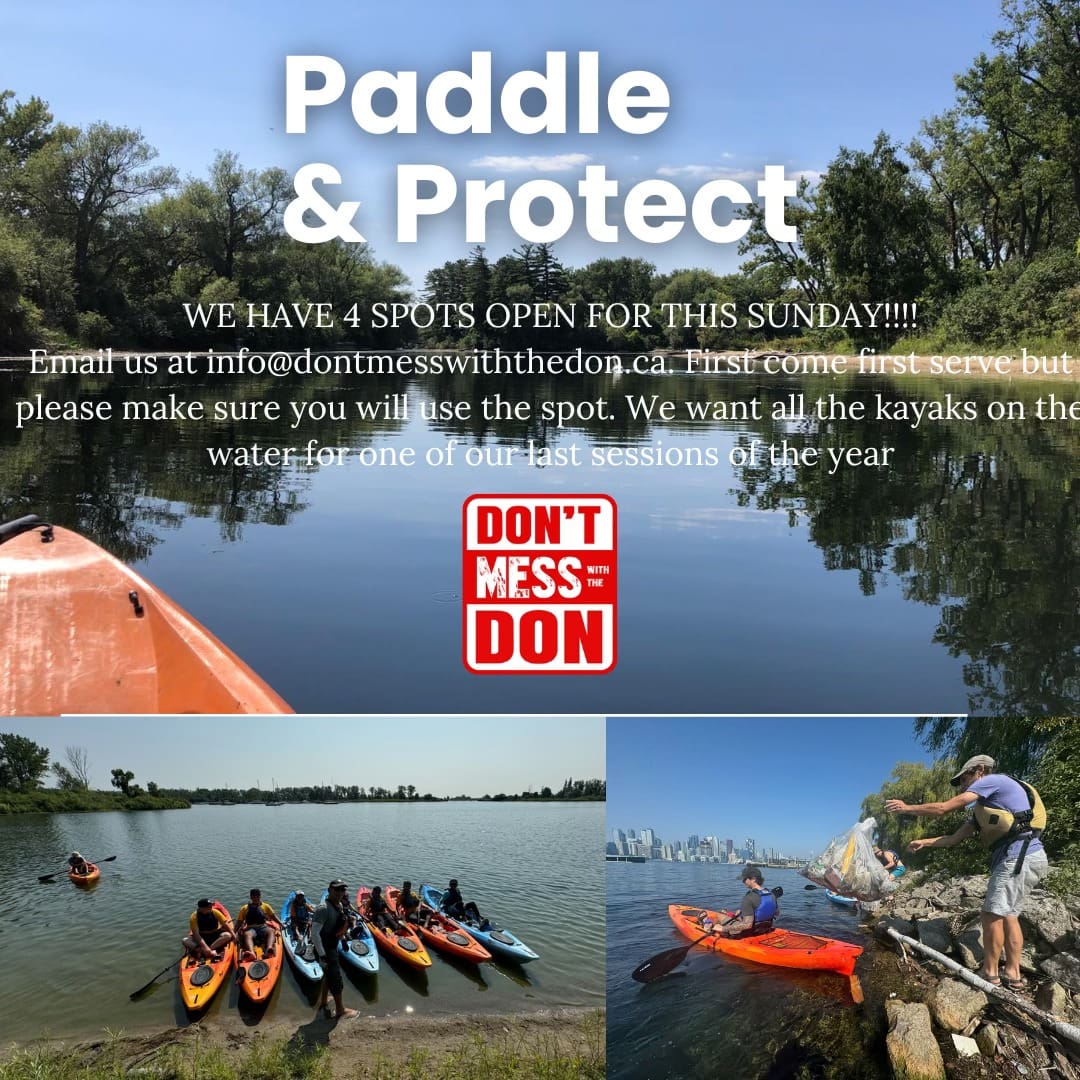 Paddle & Protect Kayak Clean up of Tommy Thompson Park and Cherry Beach