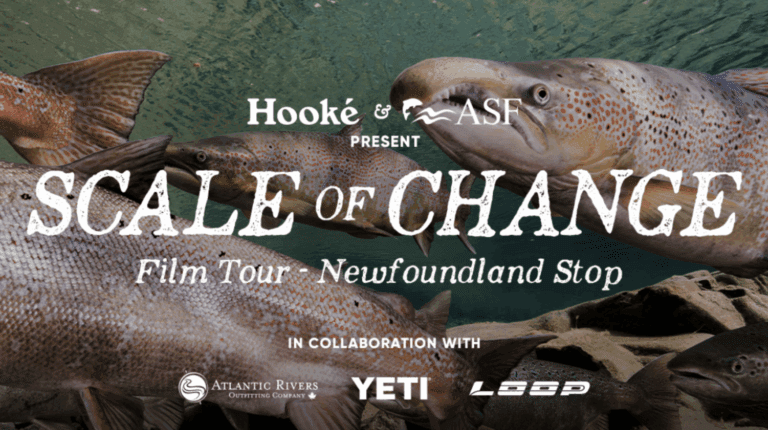 Scale of Change – St. John’s