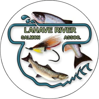 Lahave River Salmon Association- Information and Activity Booth!
